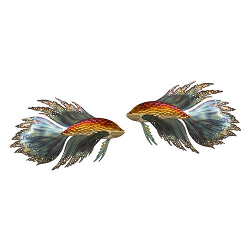 Fighting Fish Drawing